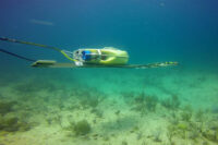 Services – CHM Global