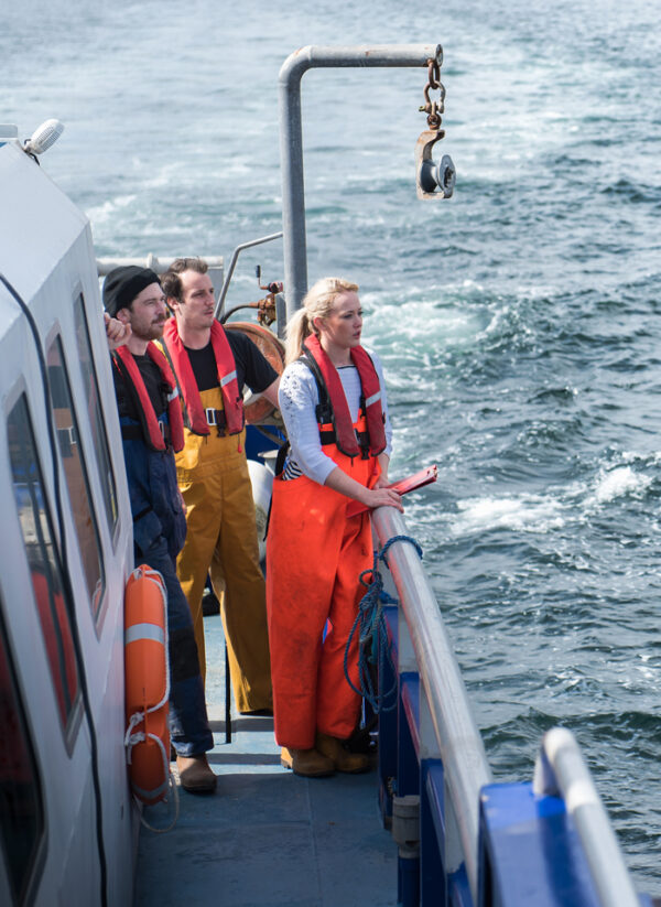 Environment Survey – CHM Global